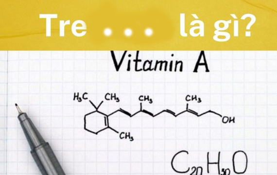 Tre là gì? Cách dùng Tre cho người mới bắt đầu